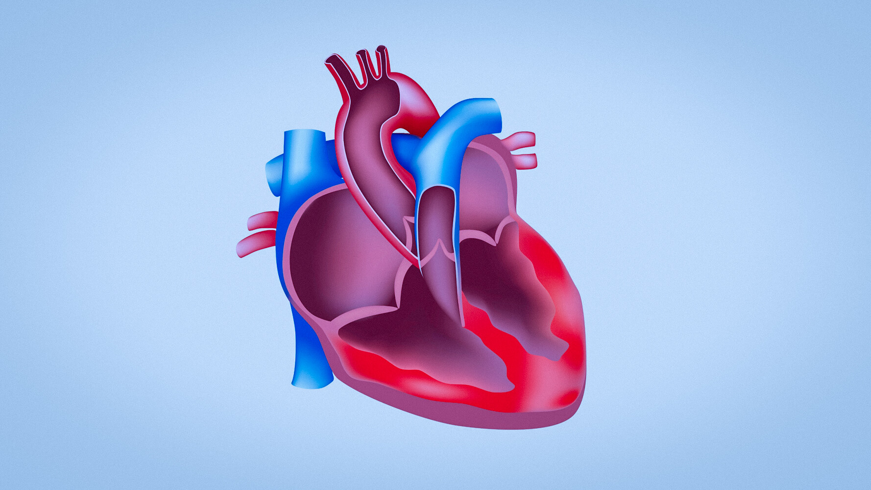 Miocardite – Vida Cardio